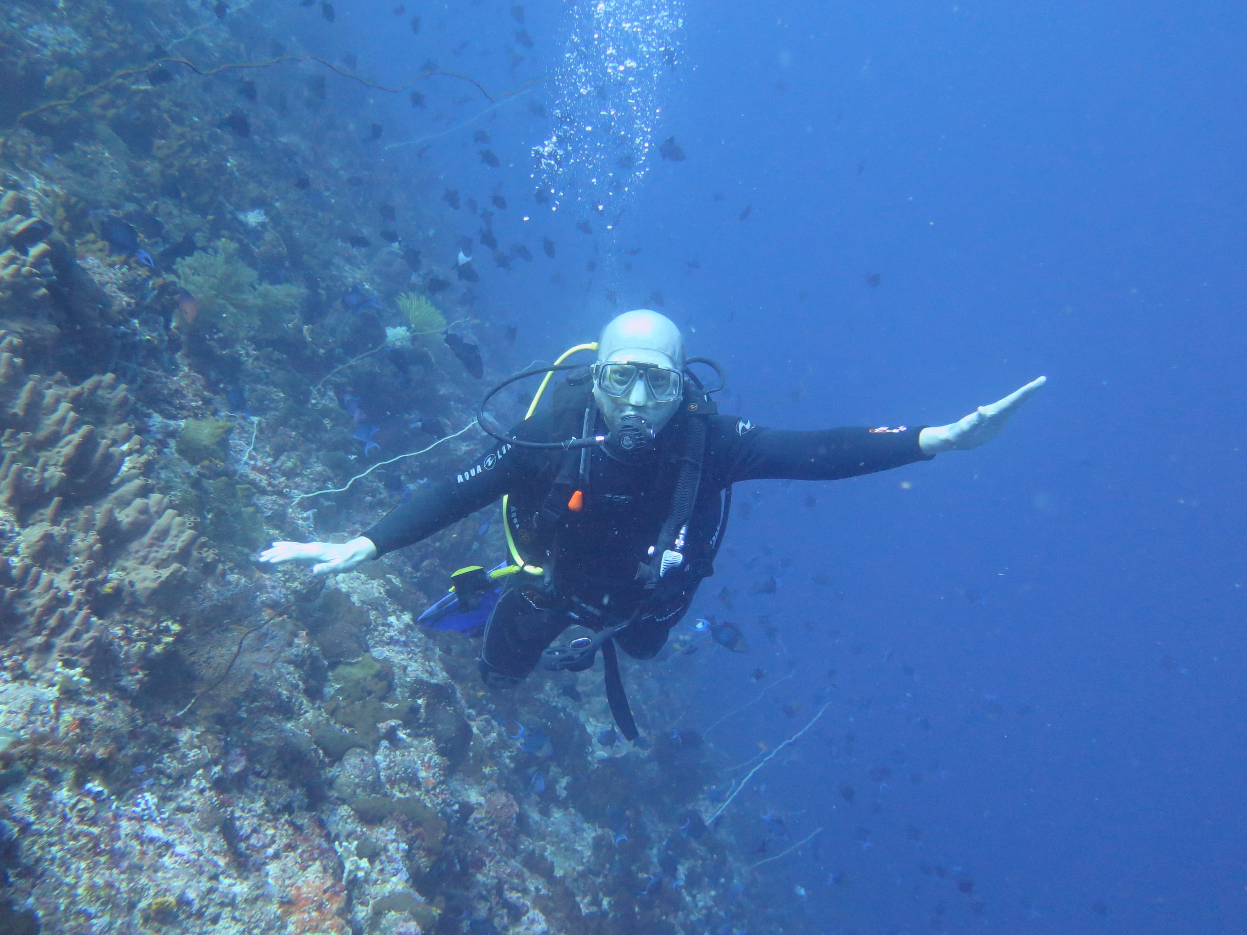 ICCTF – Indonesia Climate Change Trust Fund