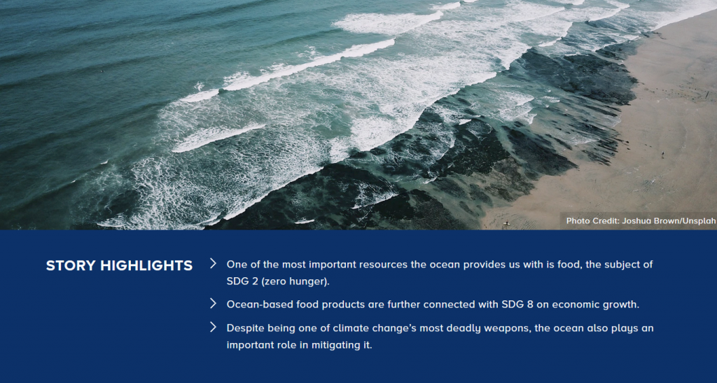 On World Oceans Day, SDGs Remind Us of Ocean’s Role in Our Planetary ...