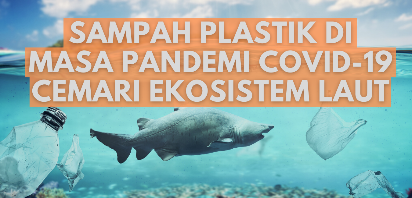 Sampah Plastik di Masa Pandemi Covid-19 Cemari Ekosistem Laut – ICCTF Sampah Plastik di Masa Pandemi Covid-19 Cemari Ekosistem Laut – ICCTF