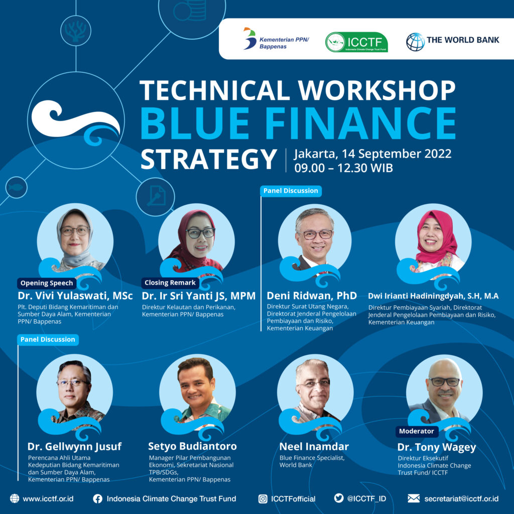 Technical Workshop Blue Finance Strategy – ICCTF
