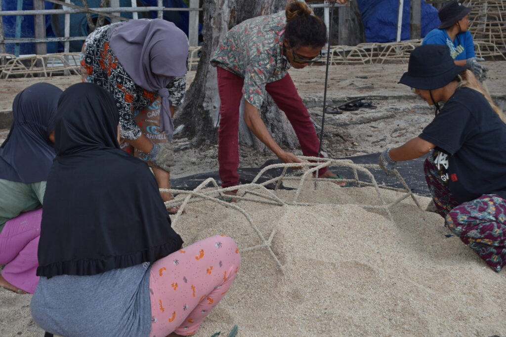 Photo Gallery – ICCTF